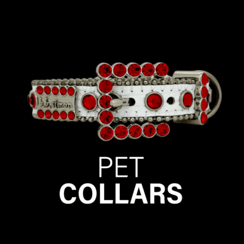 BB Simon Belts for Men & Women's | Online Belts Shop